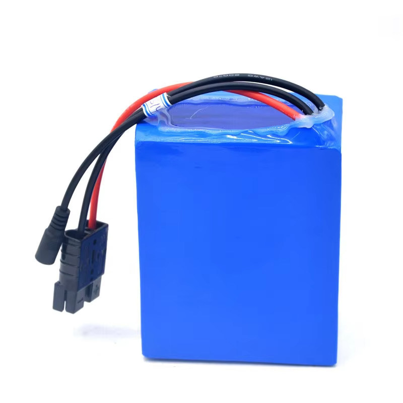 Portable Custom Lithium Batteries Pack lFP 18650 48V 20ah For Electric ...